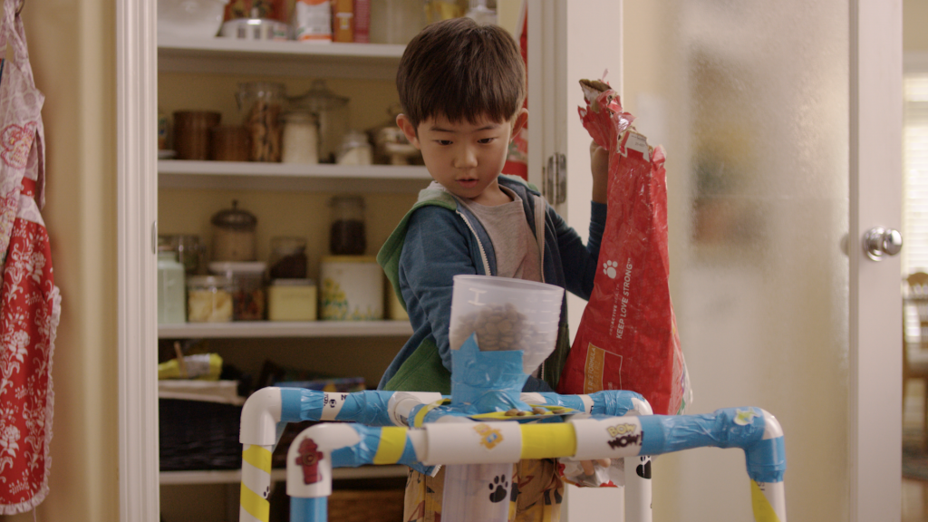 Sprout | Accident - Oishii Creative - Dare To Inspire