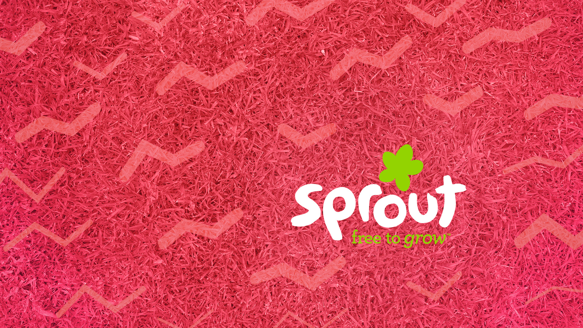 Sprout | Brand Refresh - Oishii Creative - Dare To Inspire